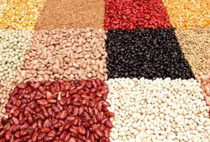 Beans Farming in Uganda